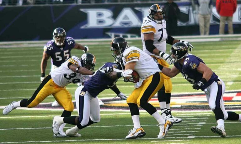 Baltimore Ravens Brand Color Codes » BrandColorCode.com