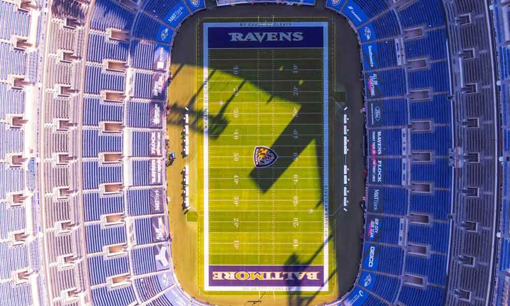 Baltimore Ravens Brand Color Codes » BrandColorCode.com