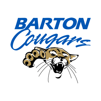 The Iowa State Cyclones Brand Color Codes » BrandColorCode.com