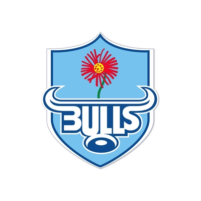 Lions Brand Color Codes » BrandColorCode.com