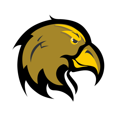 Minnesota Golden Gophers Brand Color Codes » BrandColorCode.com