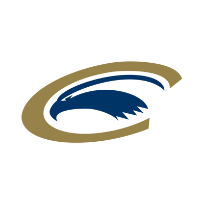 Gold Color Brands » BrandColorCode.com