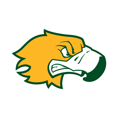 Iowa Hawkeyes Brand Color Codes » BrandColorCode.com