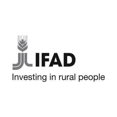 United Nations Brand Color Codes » BrandColorCode.com