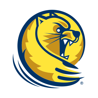 Minnesota Golden Gophers Brand Color Codes » BrandColorCode.com