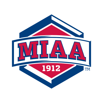 Premier League Brand Color Codes » BrandColorCode.com