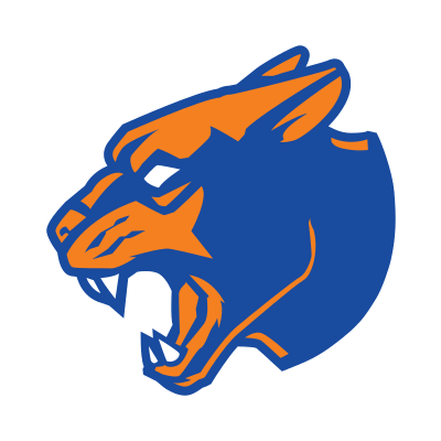 Orange Color Brands » BrandColorCode.com