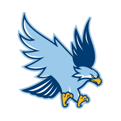 Page 17 » Discover the Most Popular Brands and Color Codes ...