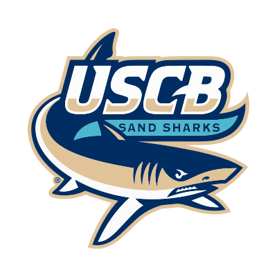 Page 13 » Discover the Most Popular Brands and Color Codes ...