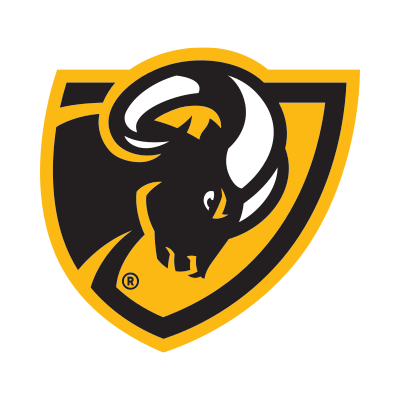 Syracuse Orange Brand Color Codes » BrandColorCode.com